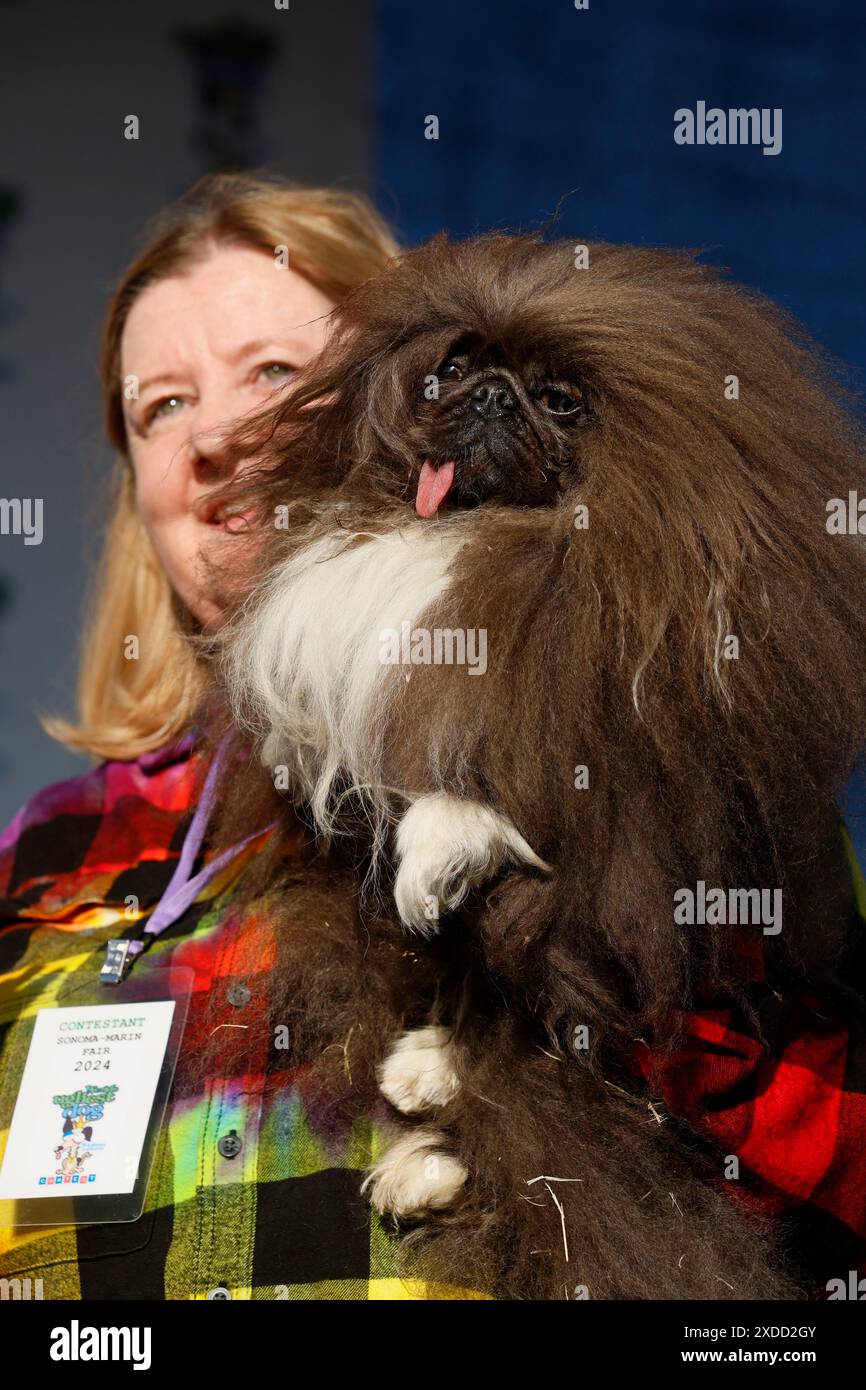 Petaluma, California, USA. 21st June, 2024. "Wild Thang,” winner of the ...
