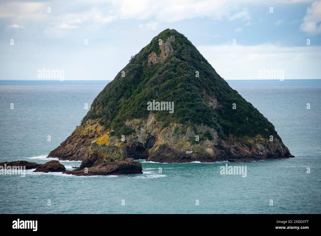 Moturoa island new zealand hi-res stock photography and images - Alamy