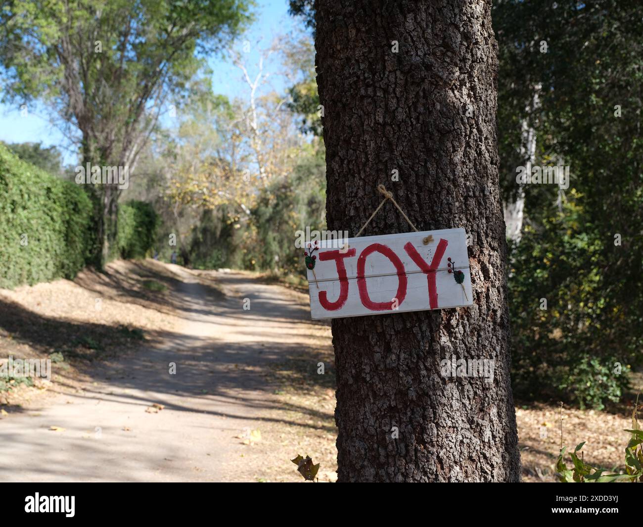 Find the joy hi-res stock photography and images - Alamy