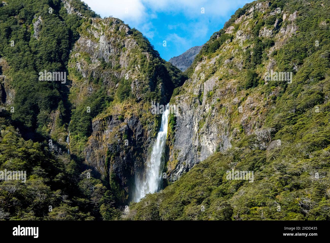 Devils Punchbowl Waterfall - New Zealand Stock Photo - Alamy