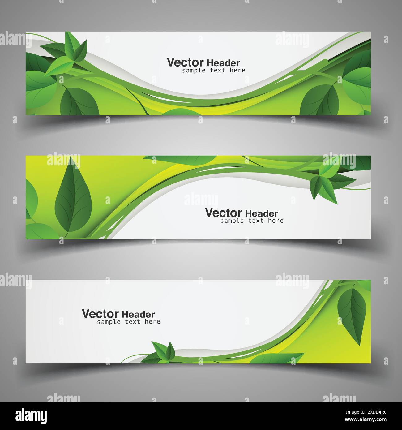 green nature headers with leaves vector design illustration Stock ...