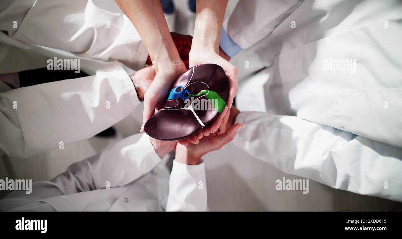 Diverse Group Of Doctors Holding Kidney Model Stock Photo - Alamy