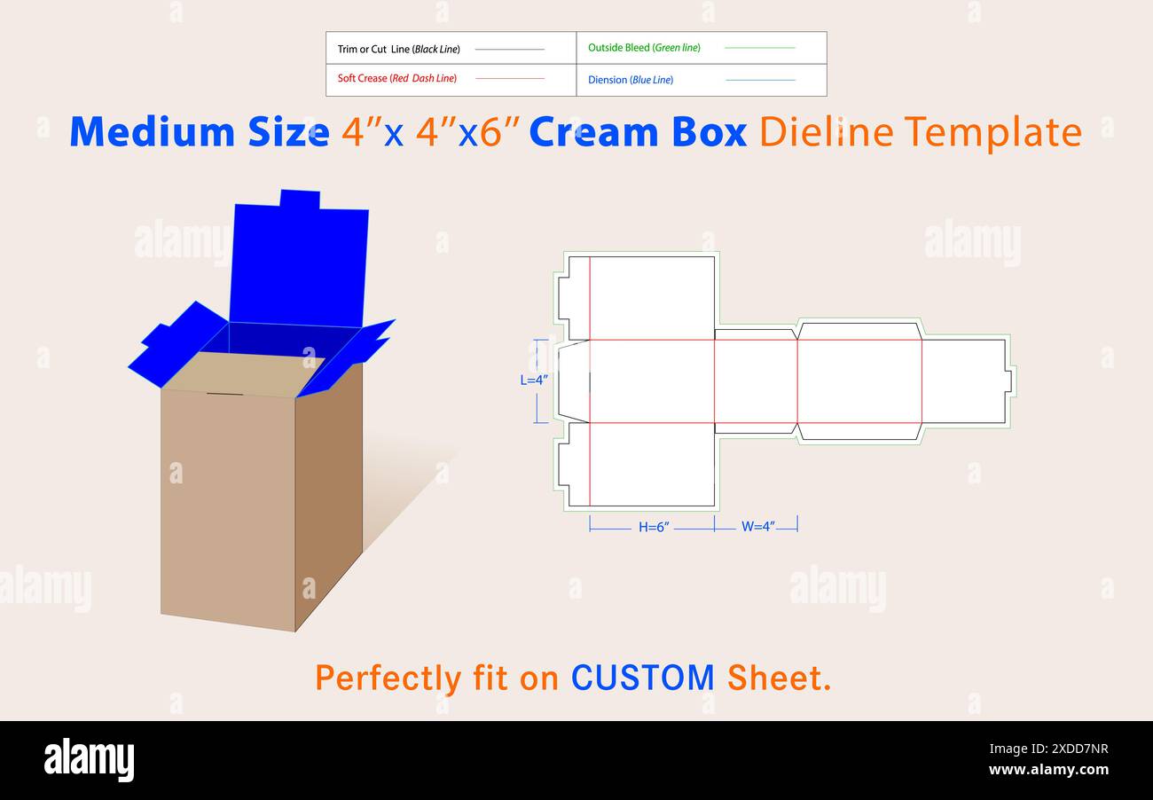 Cream Box Medium Size L 4, W 4, H 6 Inches Dieline Template. A box is a ...