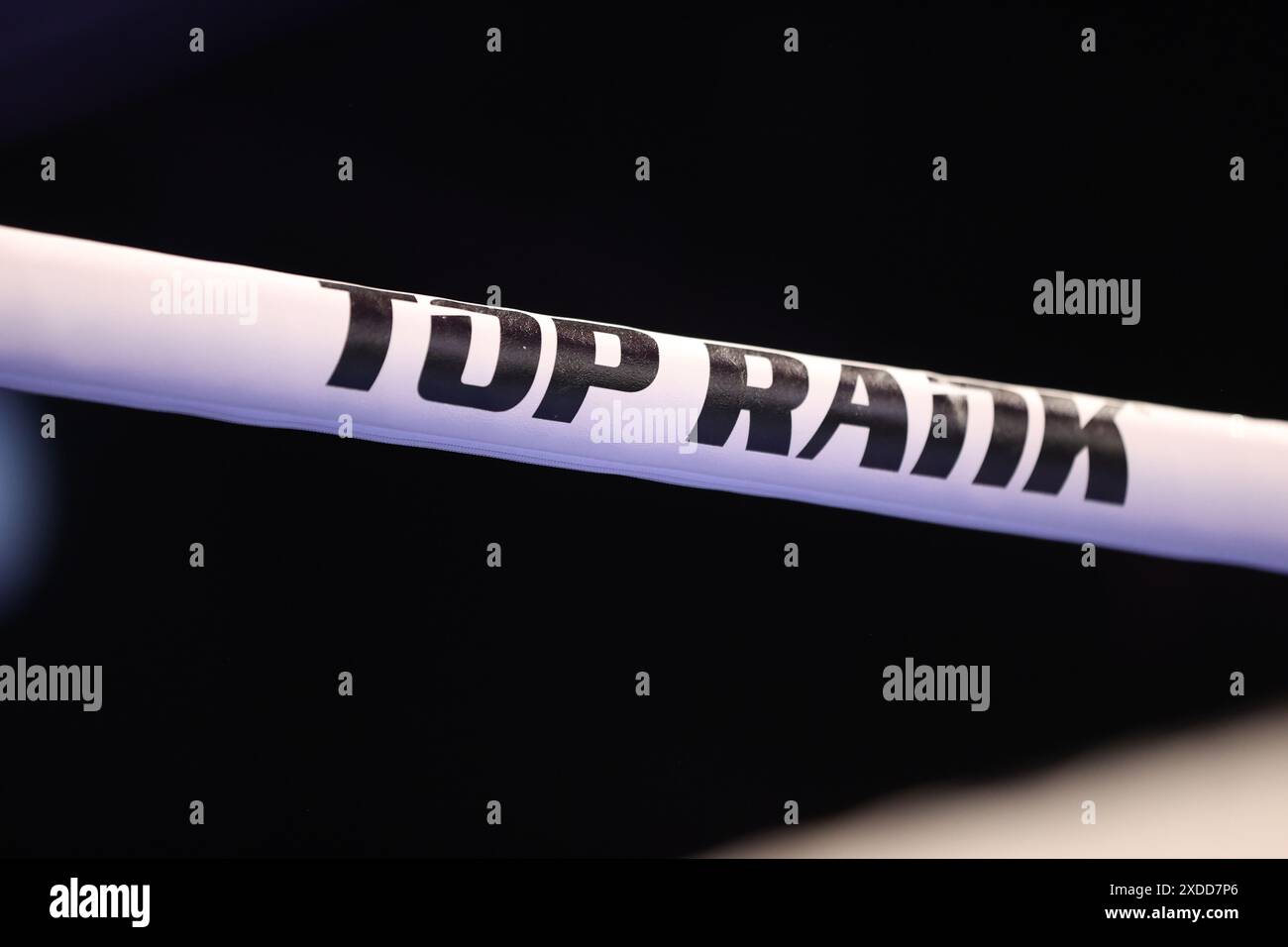Las Vegas, NV, USA. 21st June, 2024. A view of the Top Rank logo inside ...