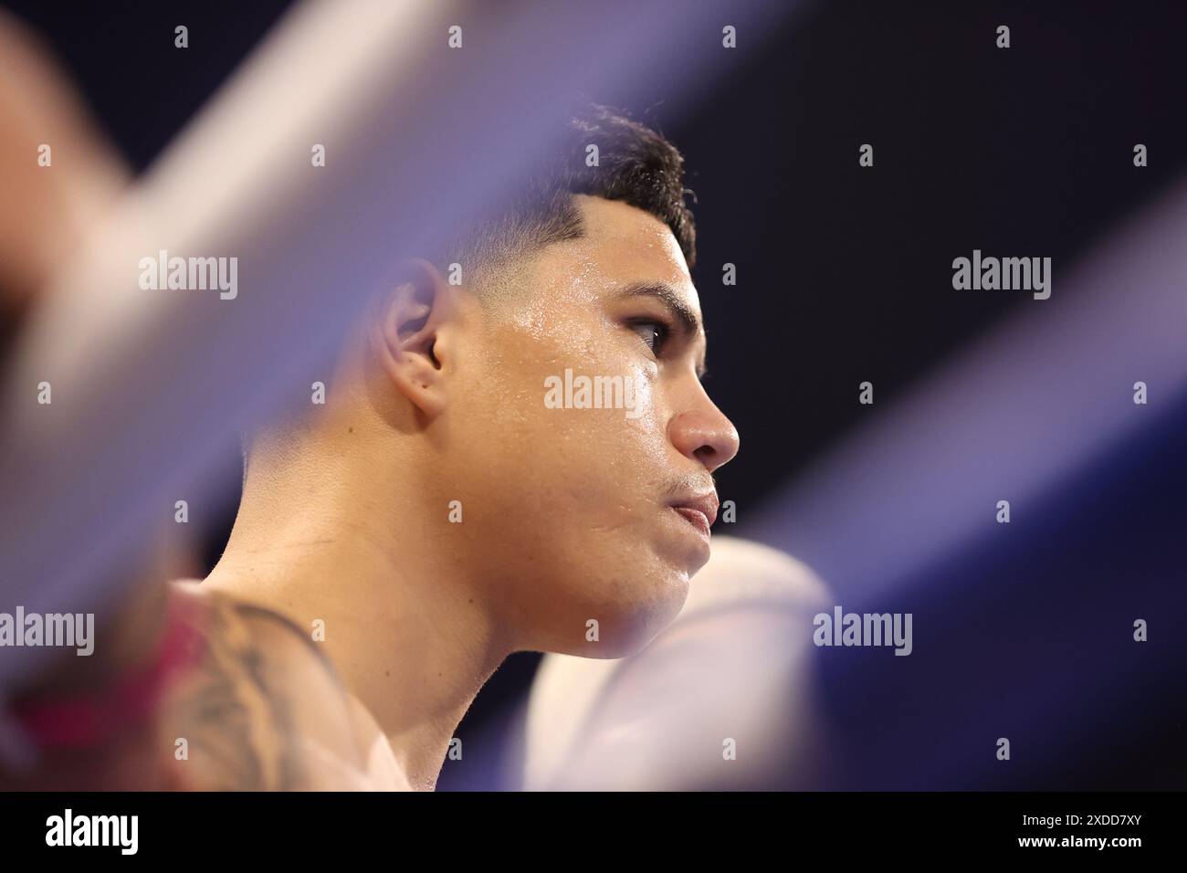 June 2024 mexico usa hi-res stock photography and images - Alamy