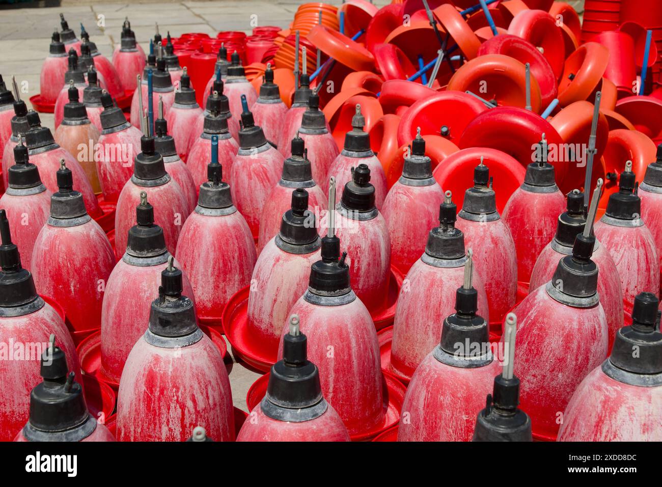 Chicken food supplies hi-res stock photography and images - Alamy