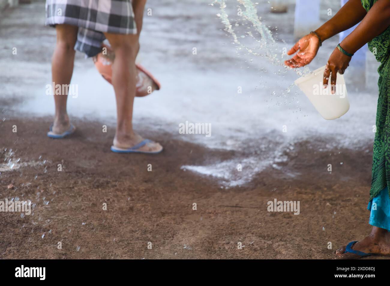 Diligent workers sprinkle water to control dust in a bustling poultry ...