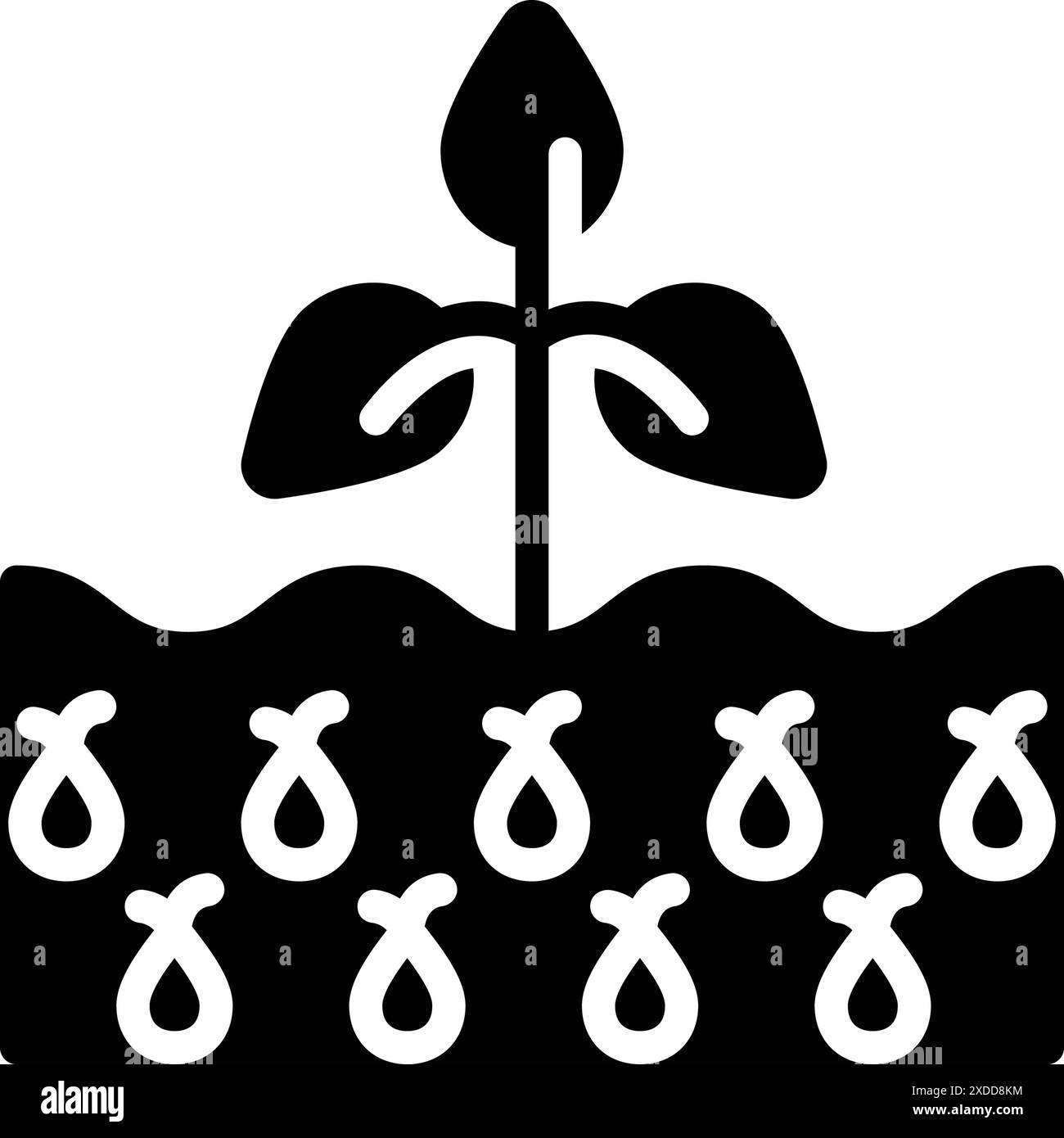 Rooter Stock Vector Images - Alamy