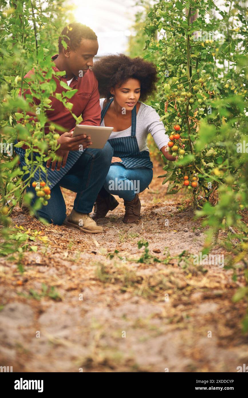Team farming hi-res stock photography and images - Alamy