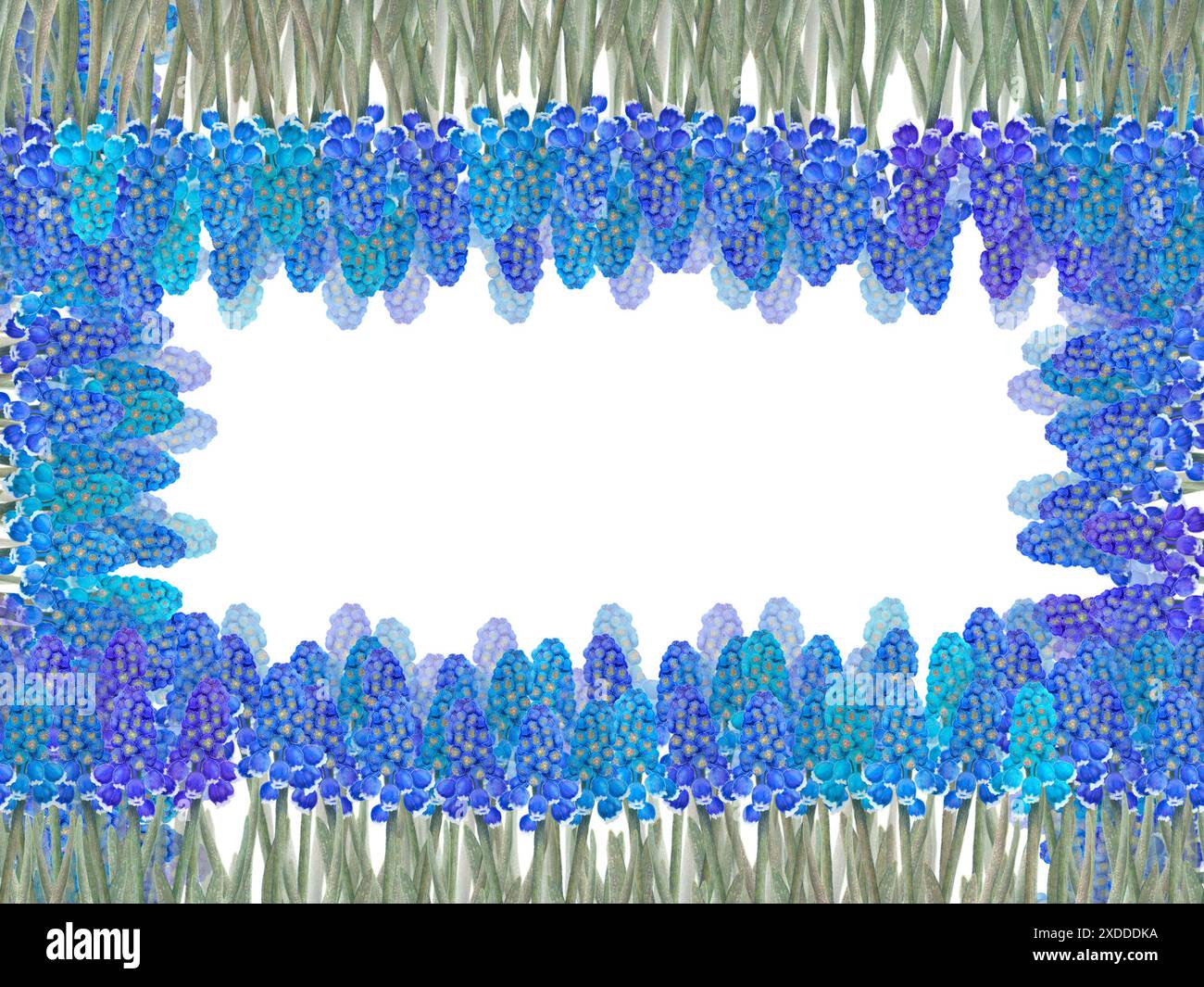 A beautiful blue floral frame with grey stems and a white center ...