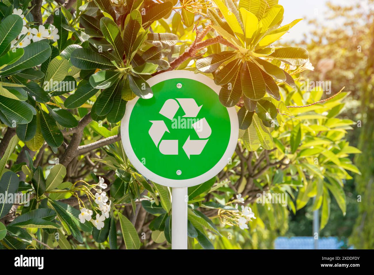 Green Tree with Recycle Label, Recycling Sign Symbol To Realize Environmental Conservation and ...