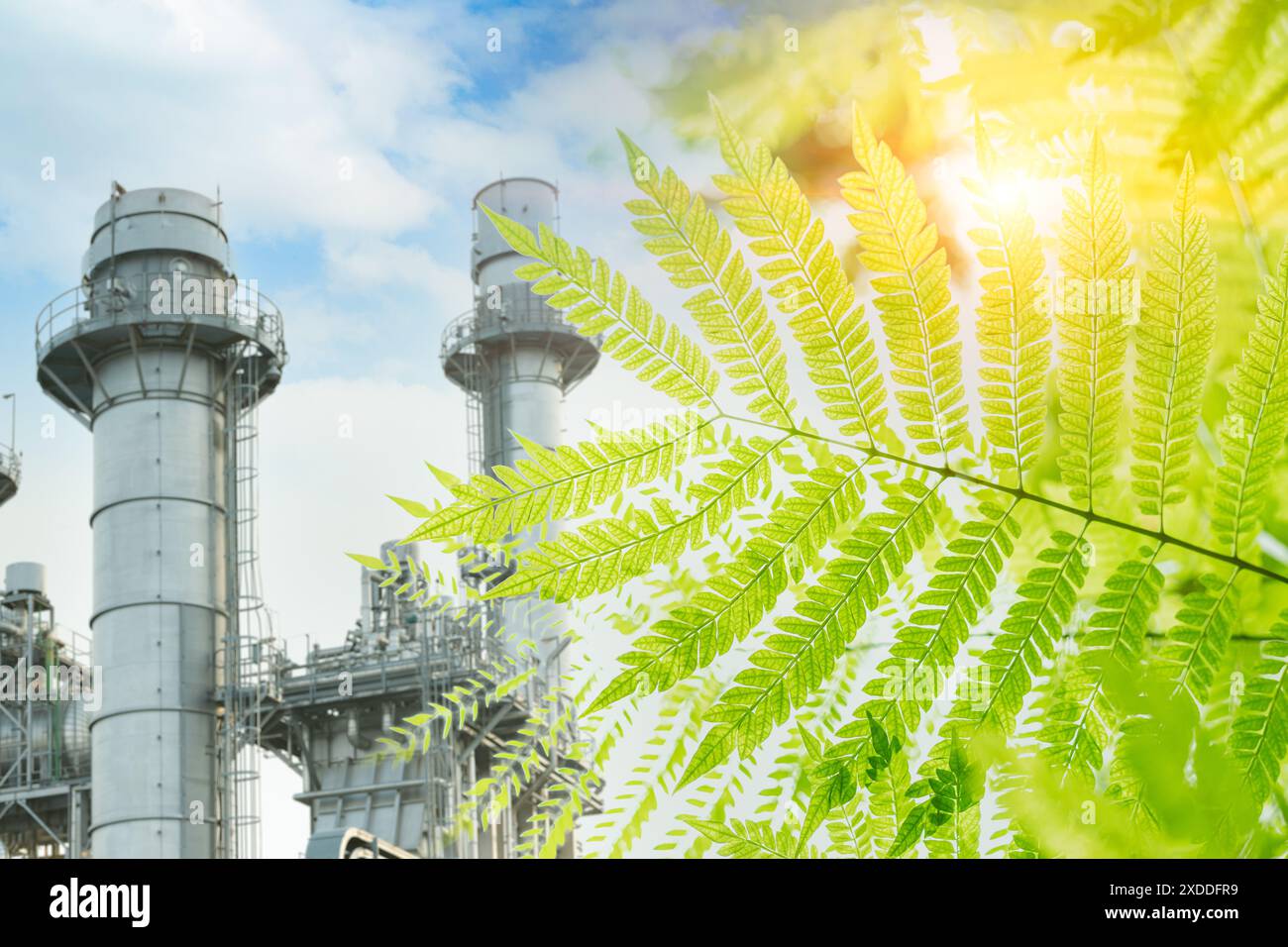 green petroleum oil gas power plant on green leaf plant tree foreground ...