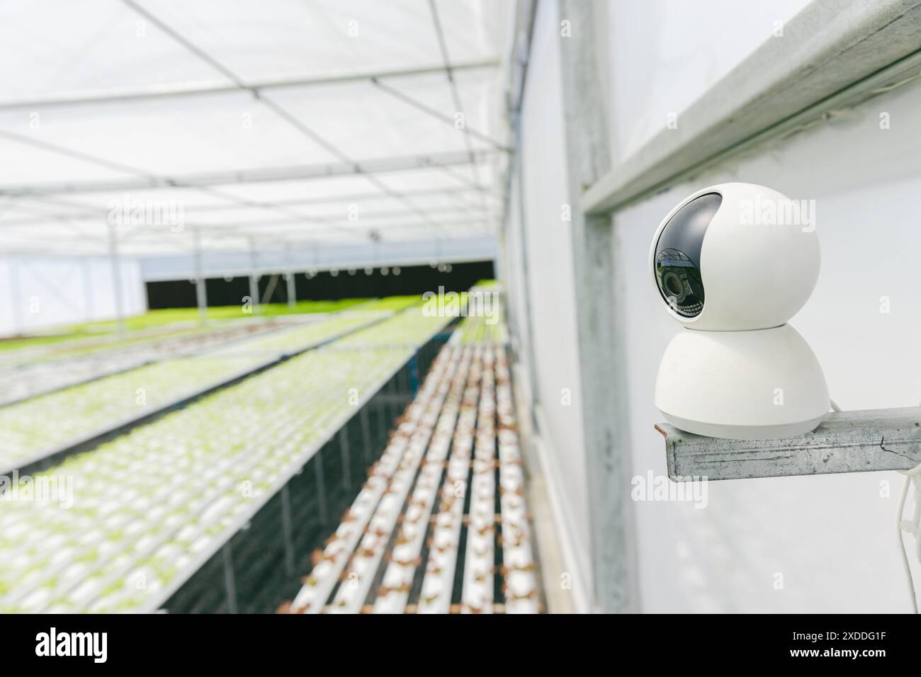 Farm security camera hi-res stock photography and images - Alamy
