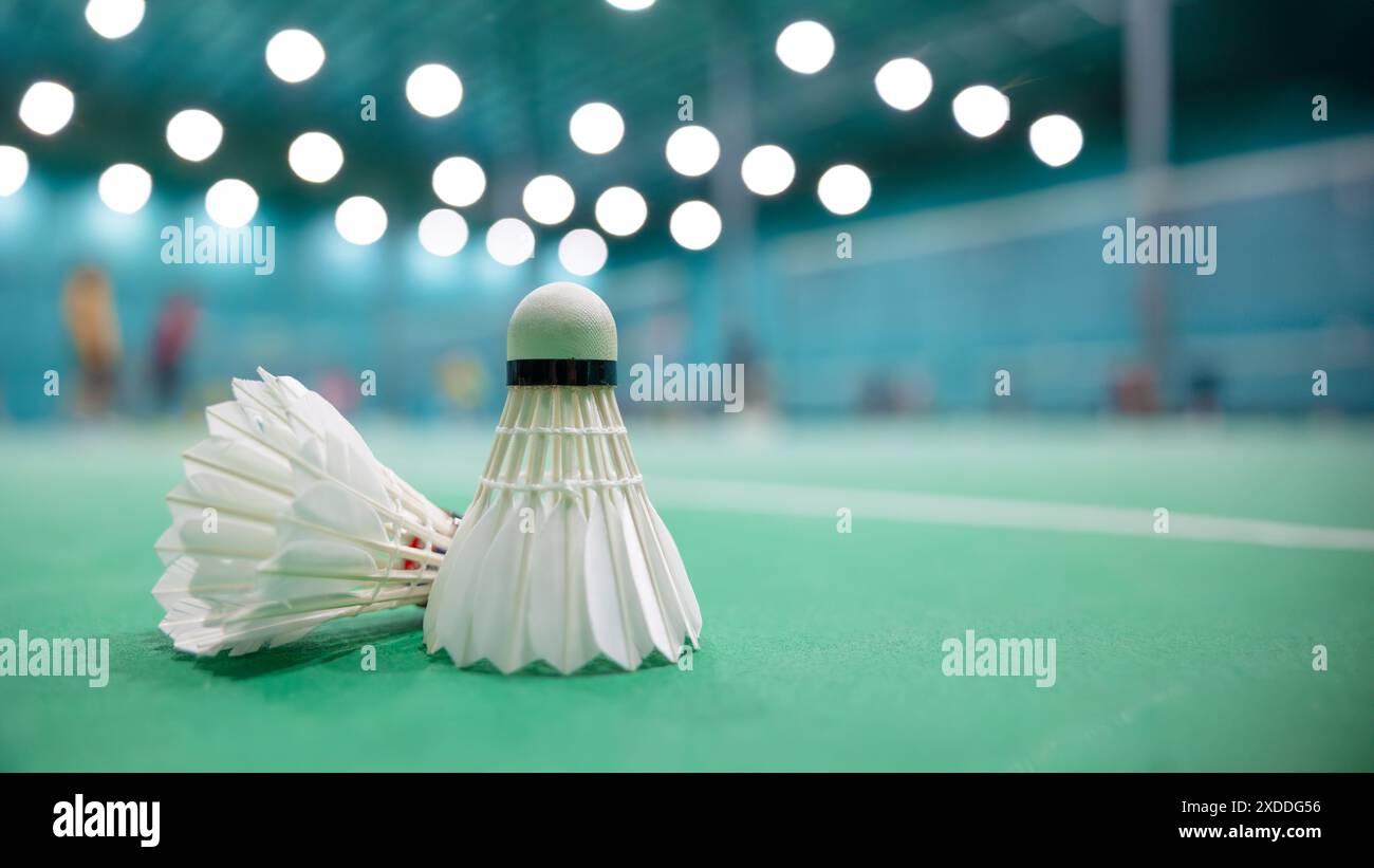 Badminton shuttlecock on the floor with blur badminton indoor sport ...