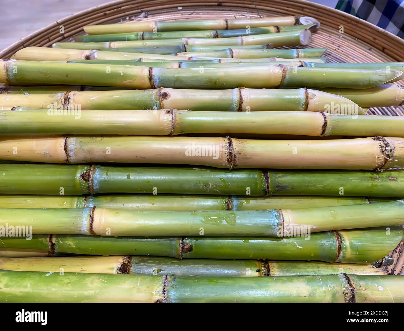 Bamboo shoots for cooking. It is the young bamboo shoot that is edible ...