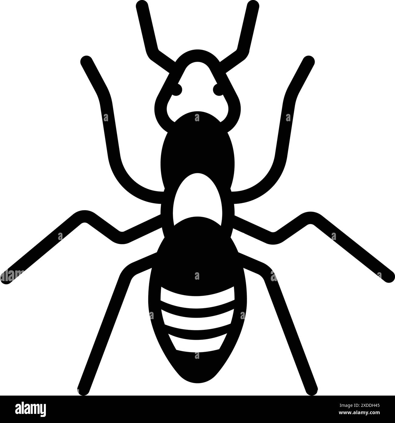 Icon for ant,leg Stock Vector Image & Art - Alamy