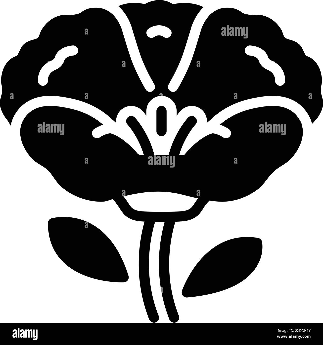 Icon for poppy ,papaveraceae Stock Vector Image & Art - Alamy