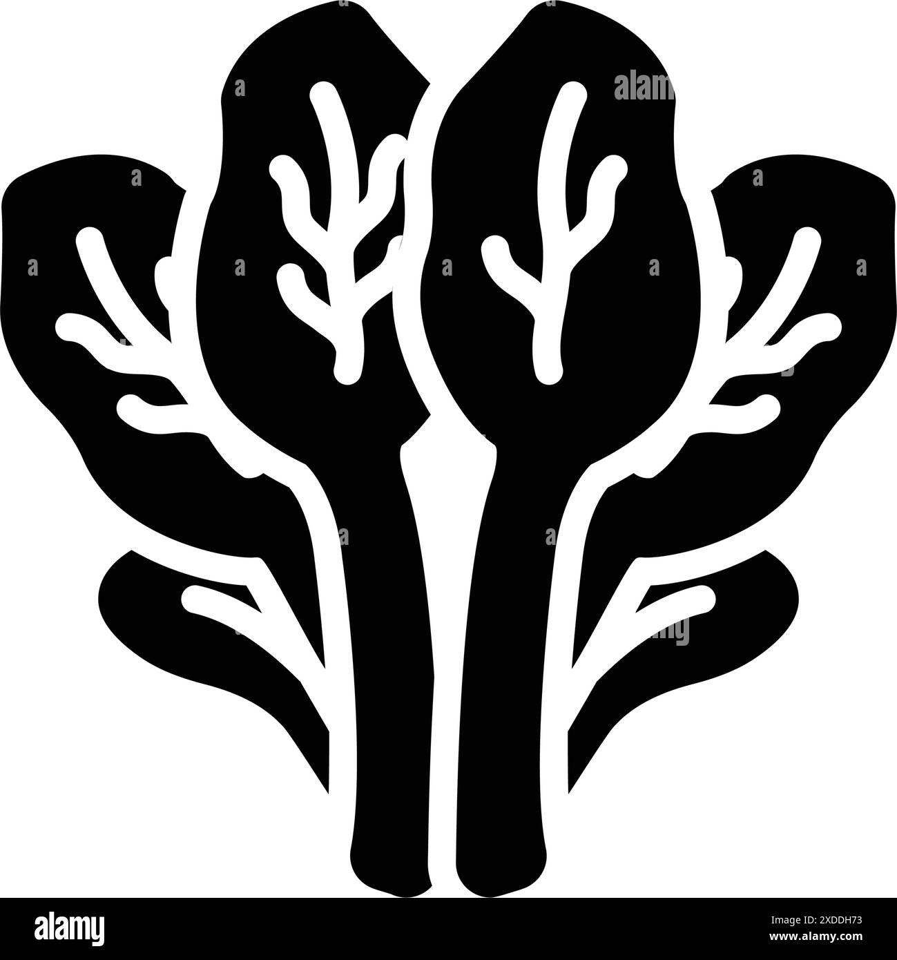 Icon for spinach,green Stock Vector Image & Art - Alamy