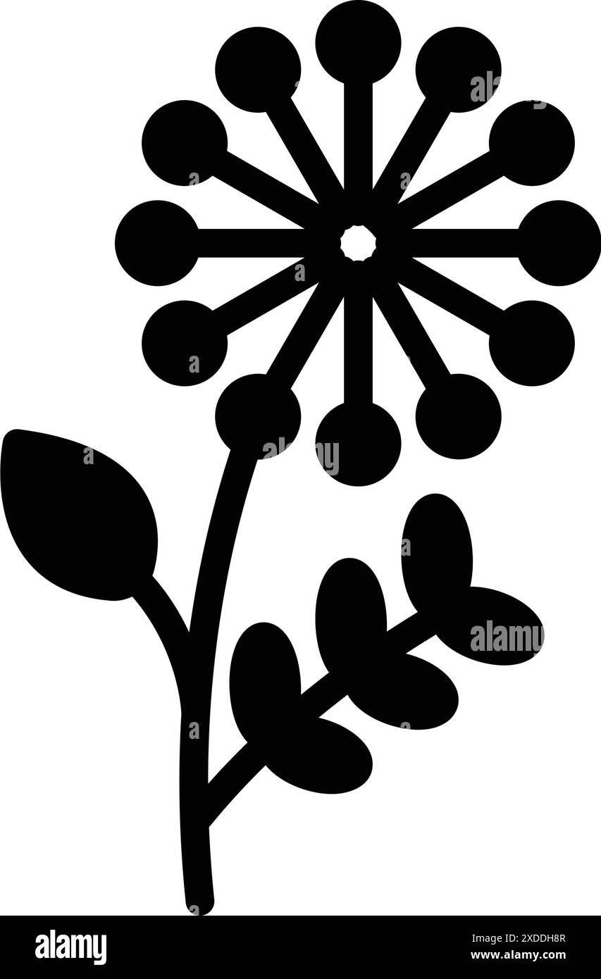 Touch flower Black and White Stock Photos & Images - Alamy