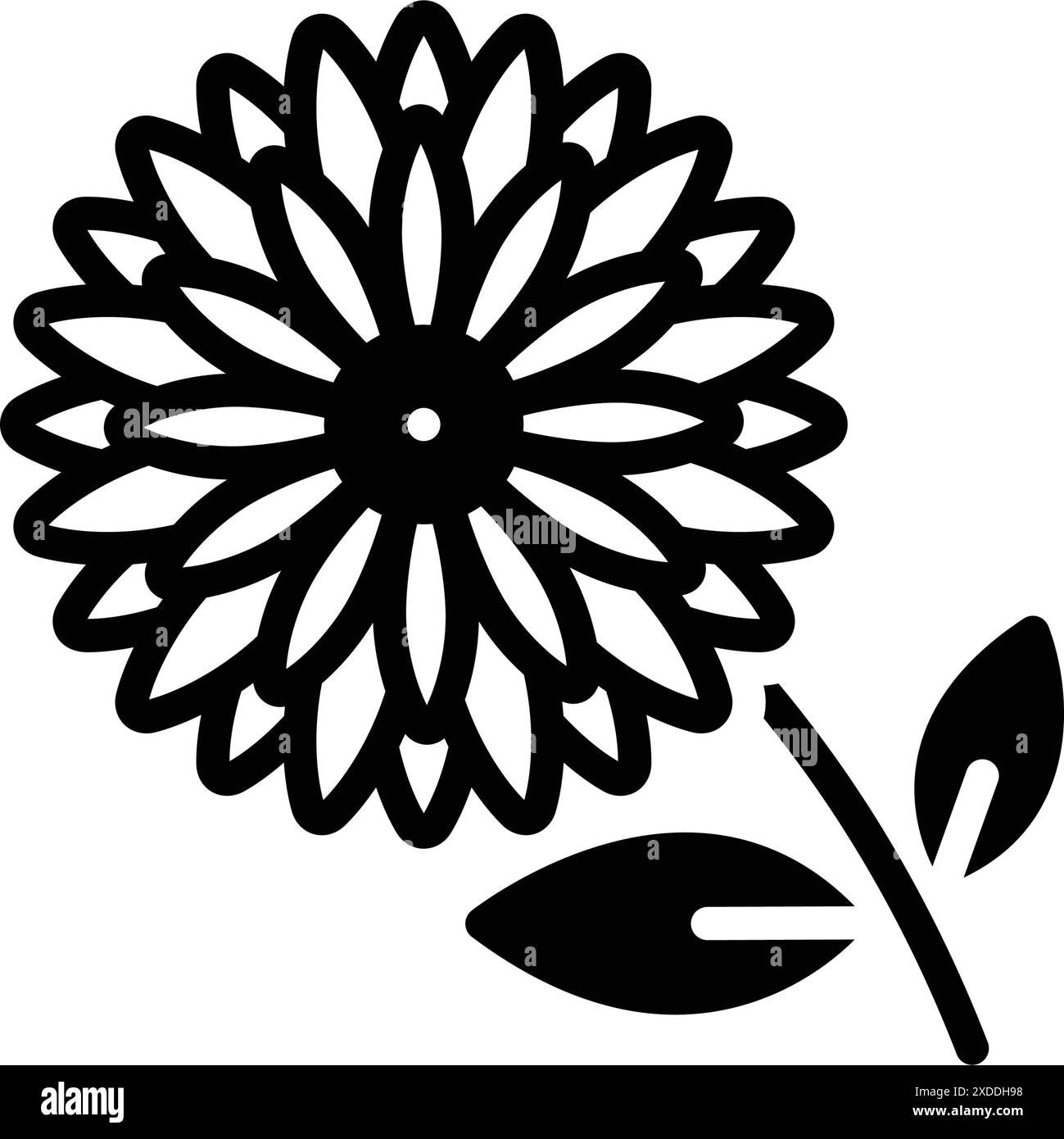 Chrysanthemum vector vectors Black and White Stock Photos & Images - Alamy