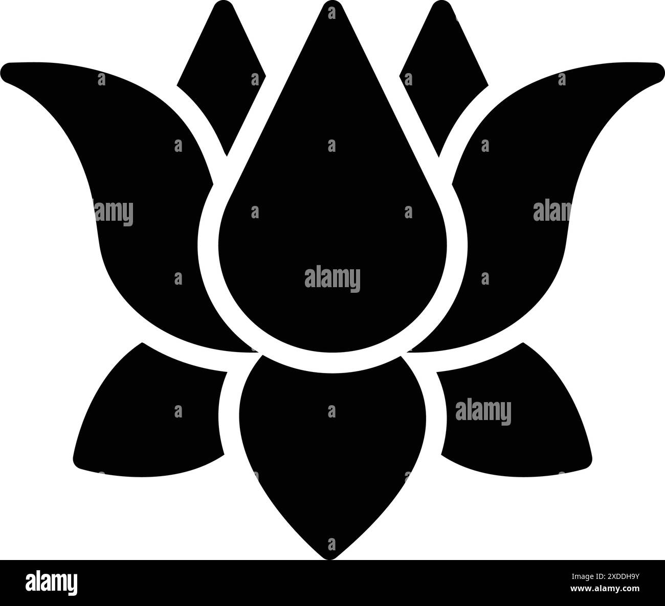 Indian lotus water lily Black and White Stock Photos & Images - Alamy