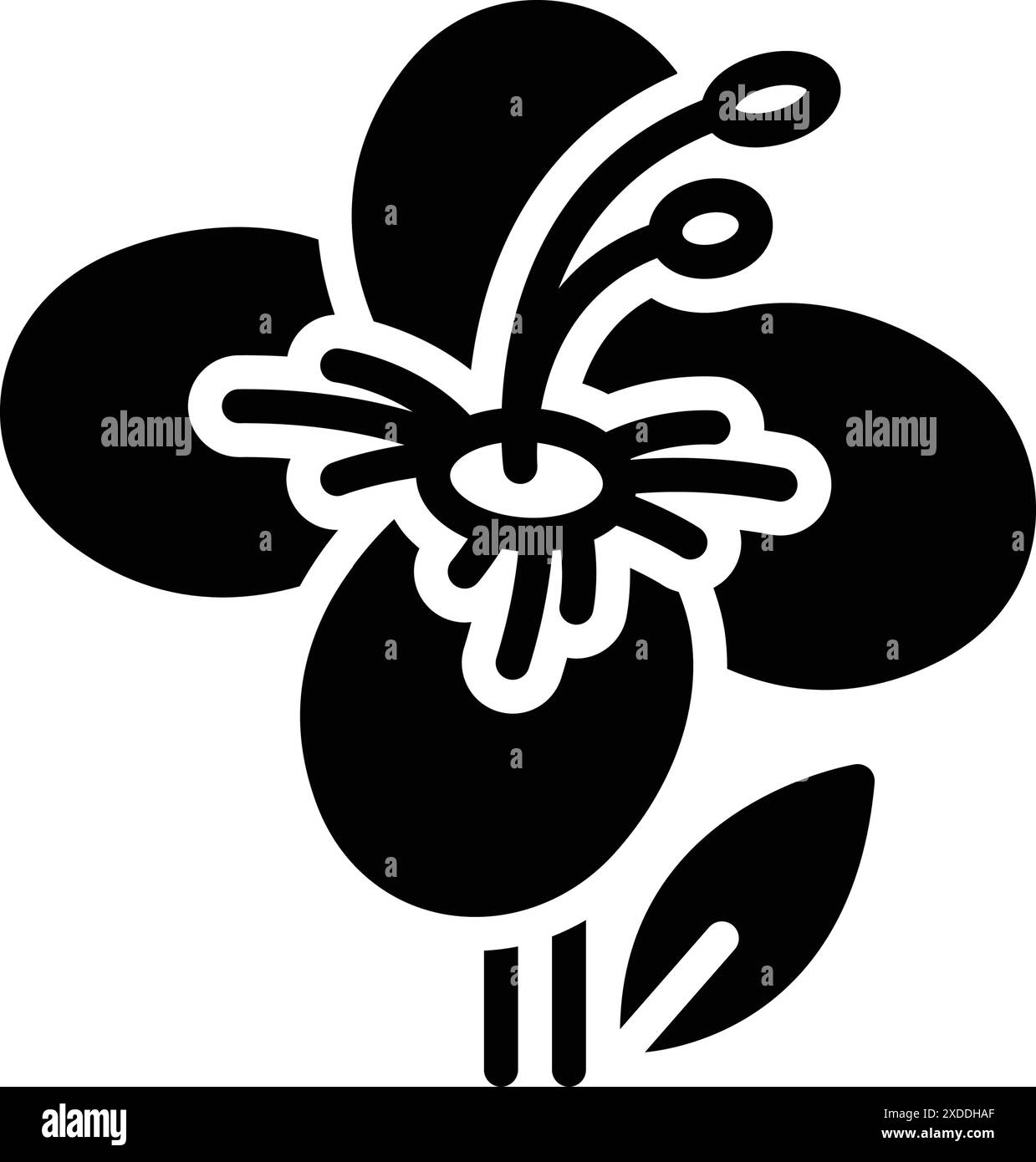 Icon for hiptage ,evergreen Stock Vector Image & Art - Alamy