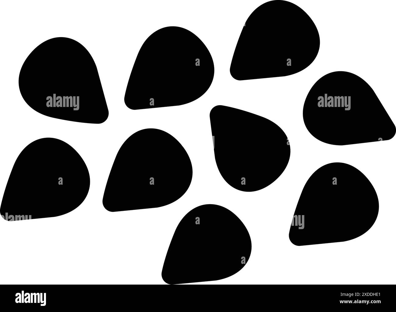 Icon for charoli,cuddapah almond Stock Vector Image & Art - Alamy