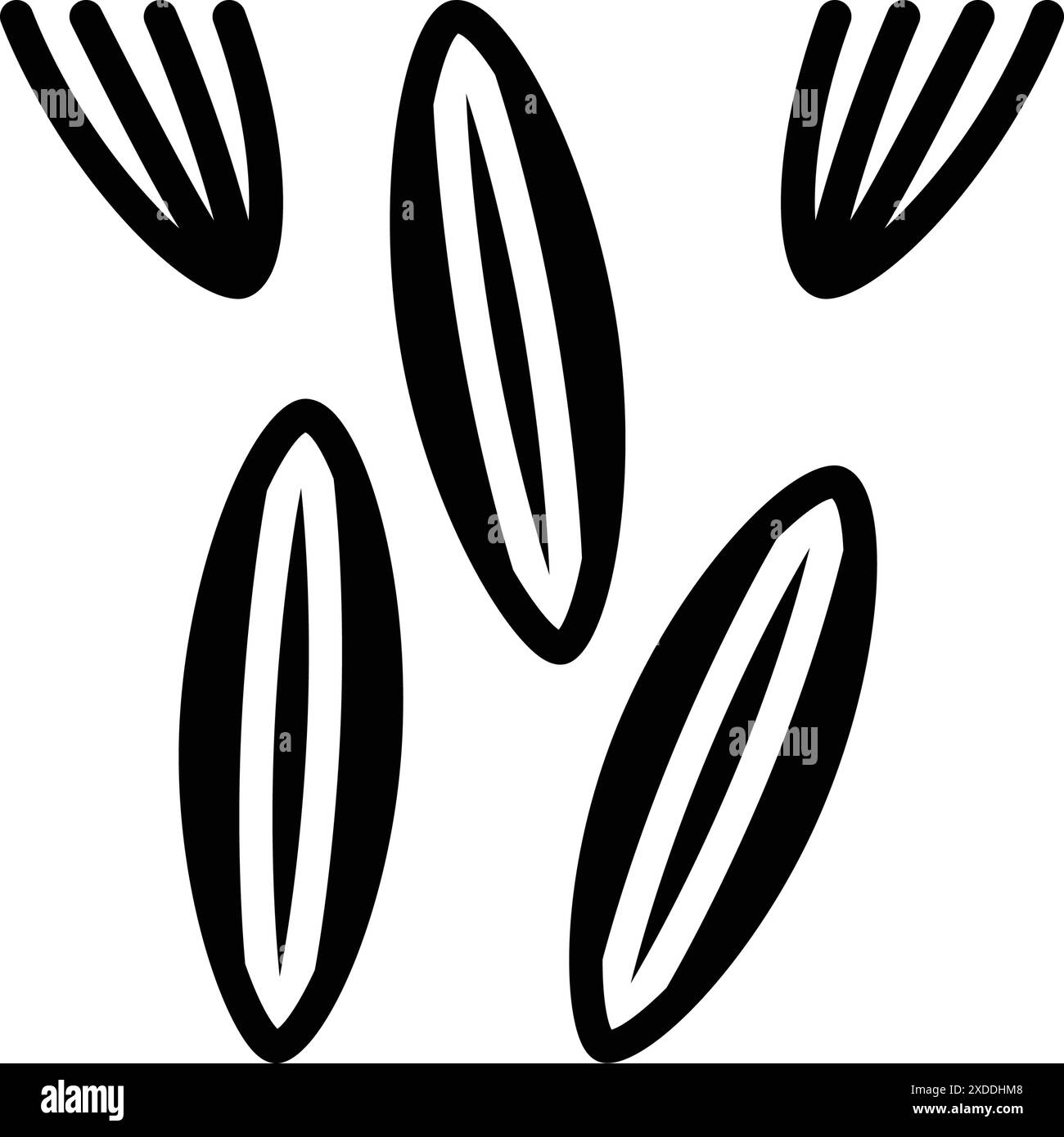 Icon for cumin,cumin seed Stock Vector Image & Art - Alamy