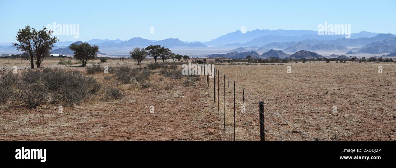 Namibian landscape along the C19 gravel road with trees and a long ...