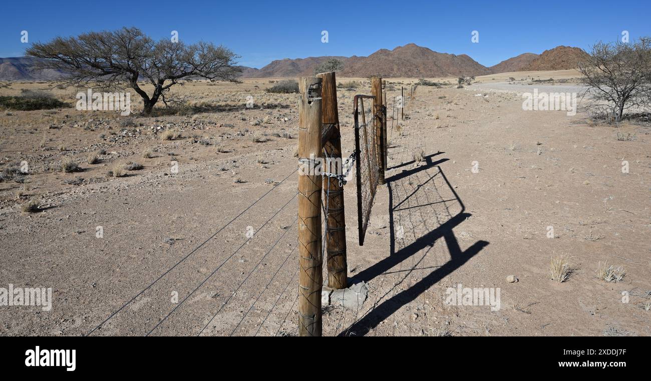 Namibian landscape along the C19 gravel road with trees and a long ...