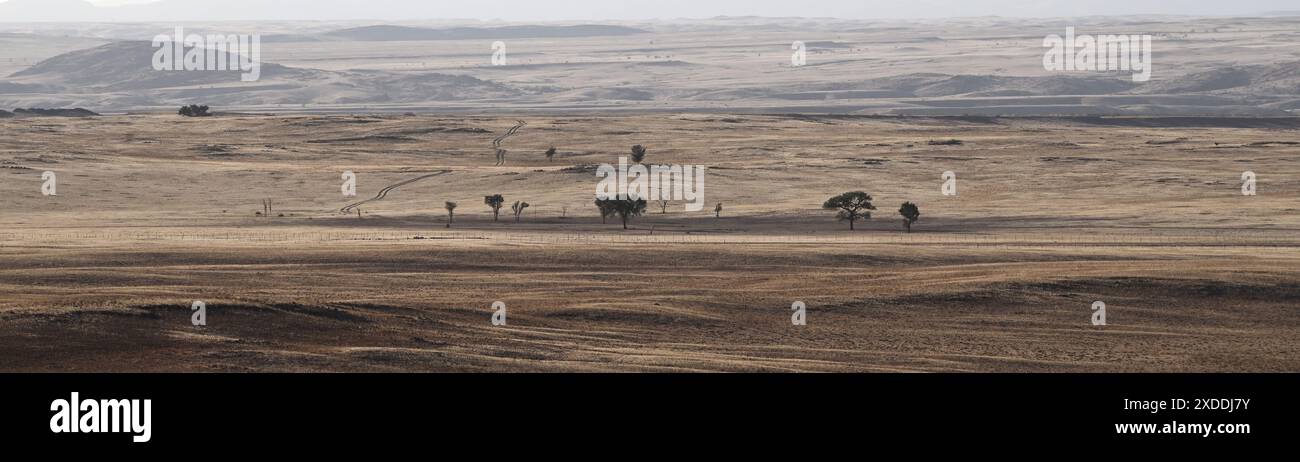 desert landscape with sporadic trees in Namibia at the Rostock Ritz ...