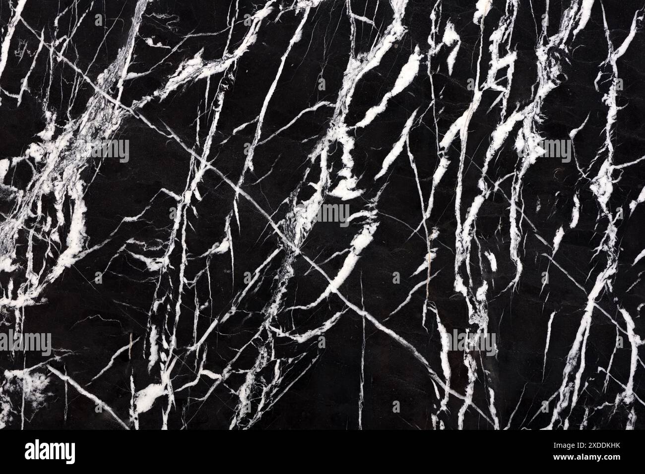 High-contrast black and white marble texture with dynamic and intricate ...