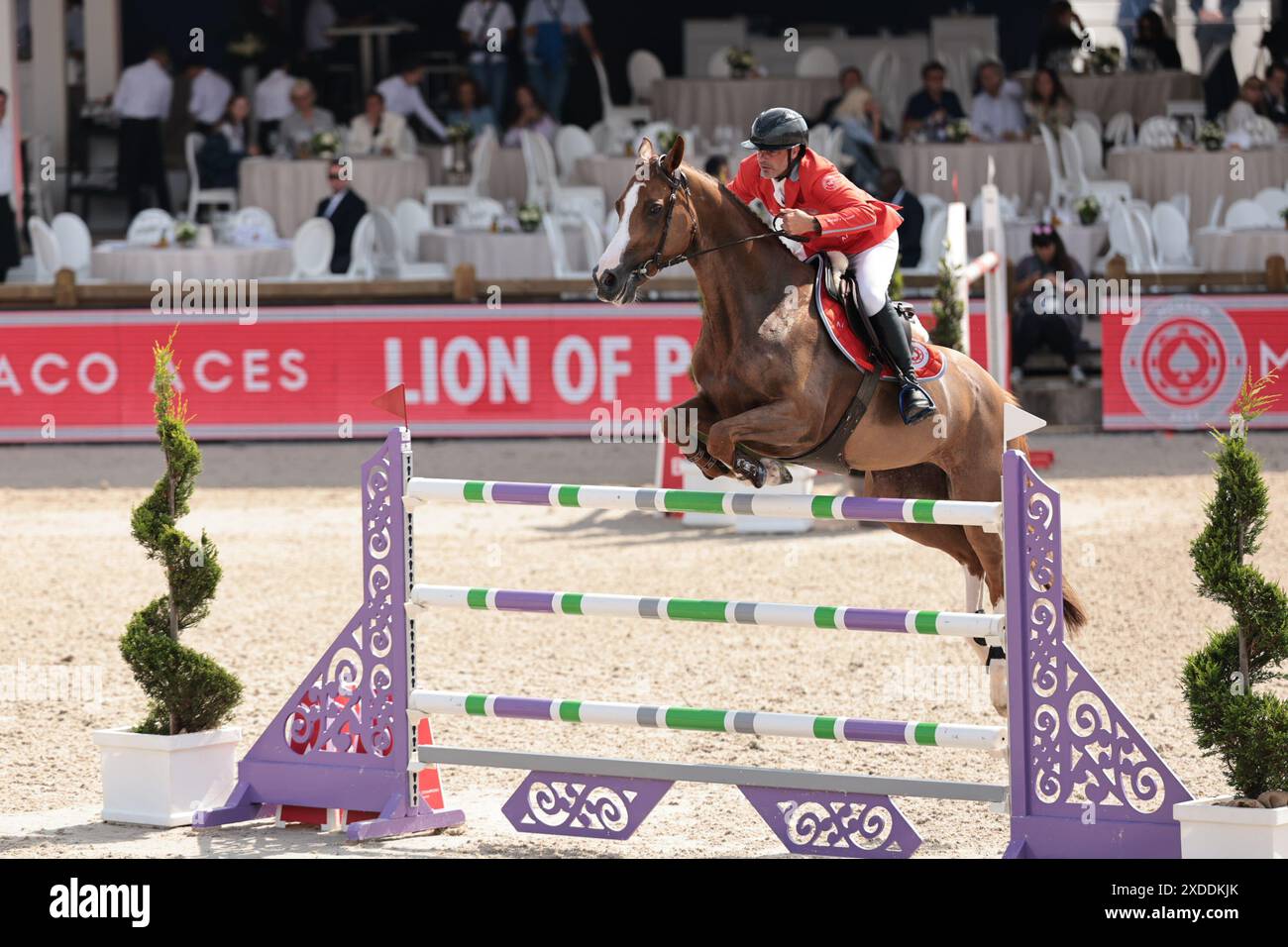Gregory Cottard of France with Gammelgaards Carola during the Prix ...