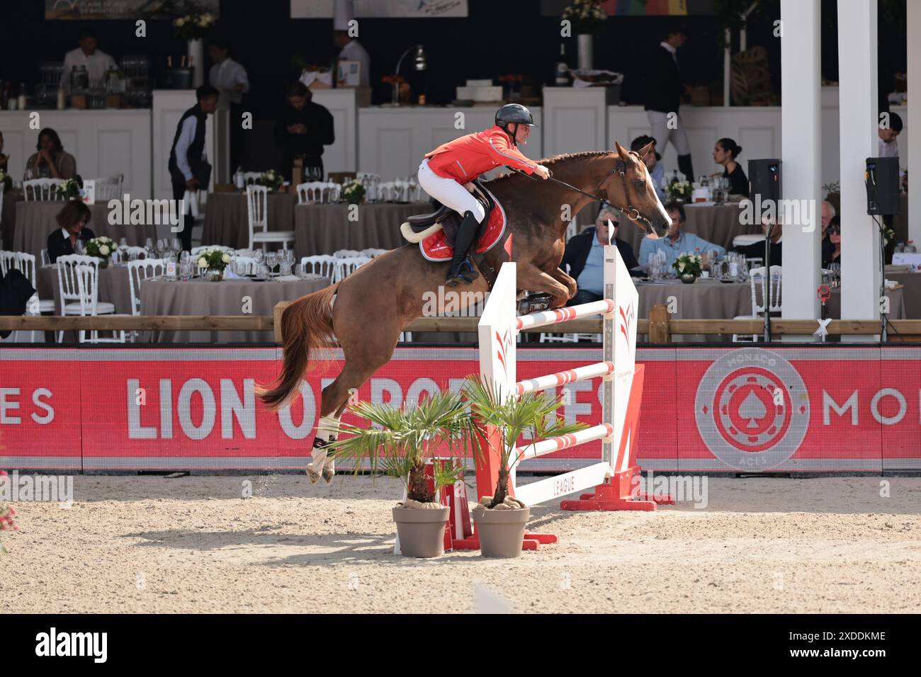 Gregory Cottard of France with Gammelgaards Carola during the Prix ...