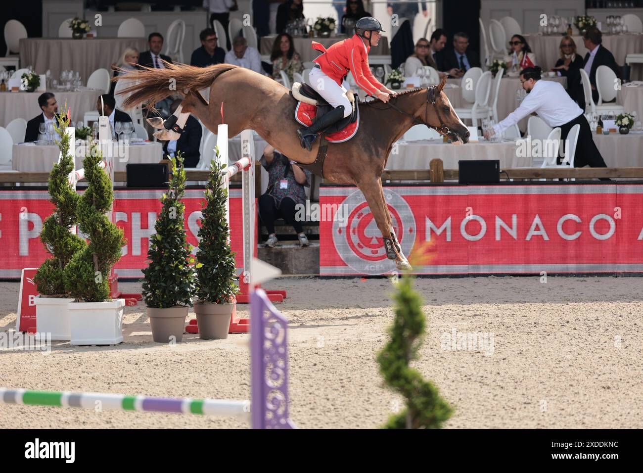 Gregory Cottard of France with Gammelgaards Carola during the Prix ...