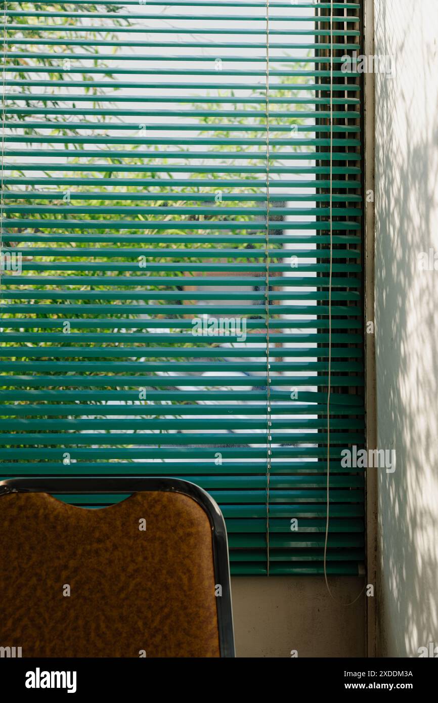 Green window blinds casting shadows on wall Stock Photo - Alamy