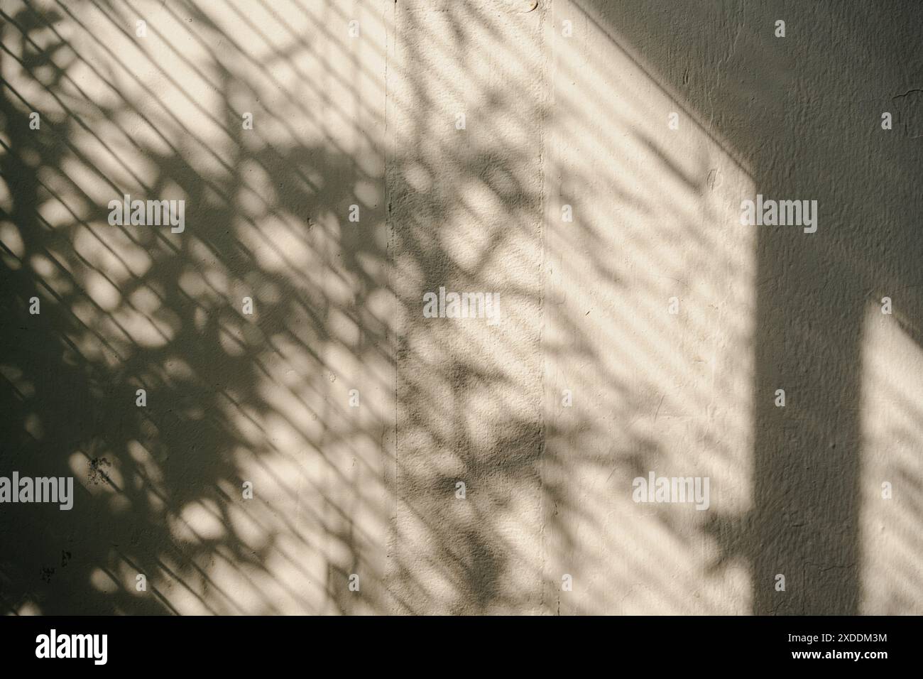 Shadows blinds on white hi-res stock photography and images - Alamy