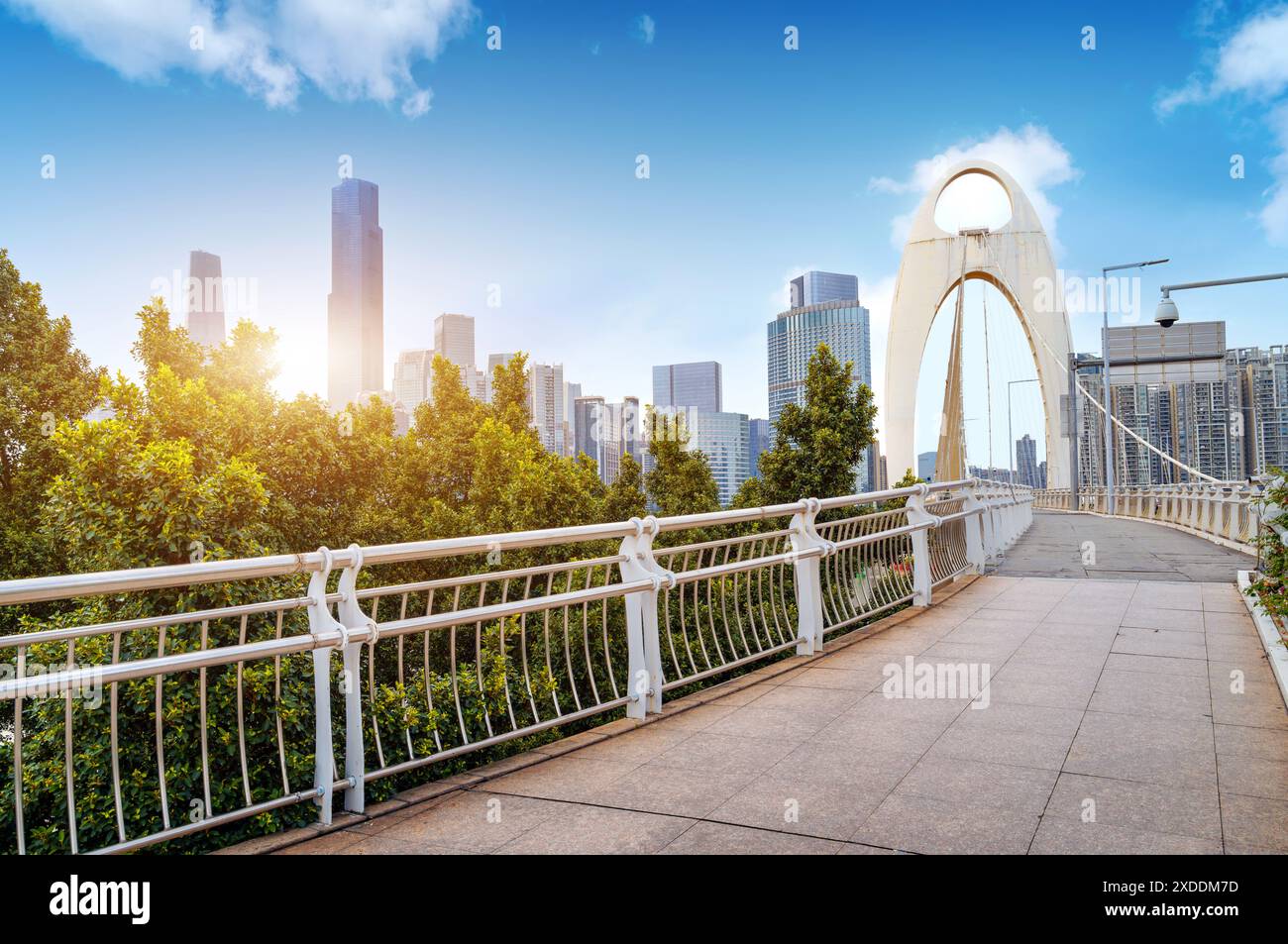 Zhujiang New Town skyline, Guangzhou, China Stock Photo - Alamy