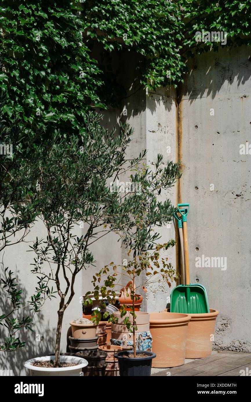Workspace gardening hi-res stock photography and images - Alamy