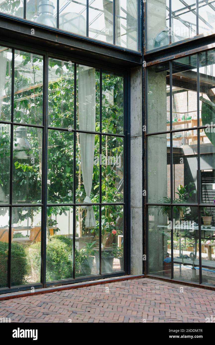 Greenery through large glass windows Stock Photo - Alamy