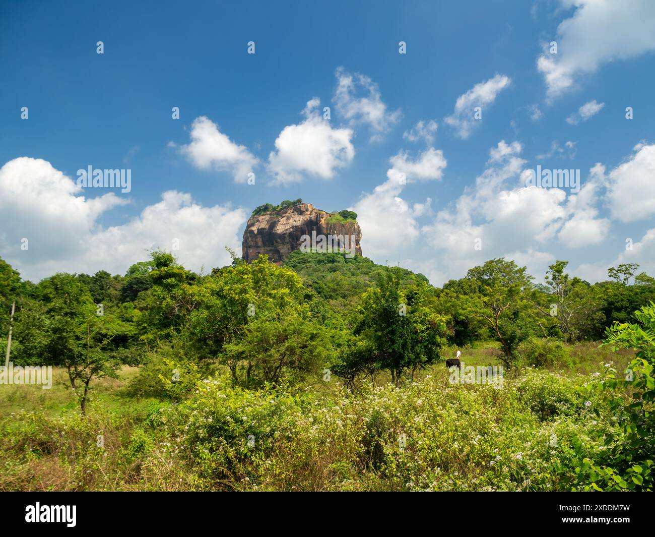 Sri Lanka, Ceylon Island - Sigiriya rock panoramic views over jungle ...