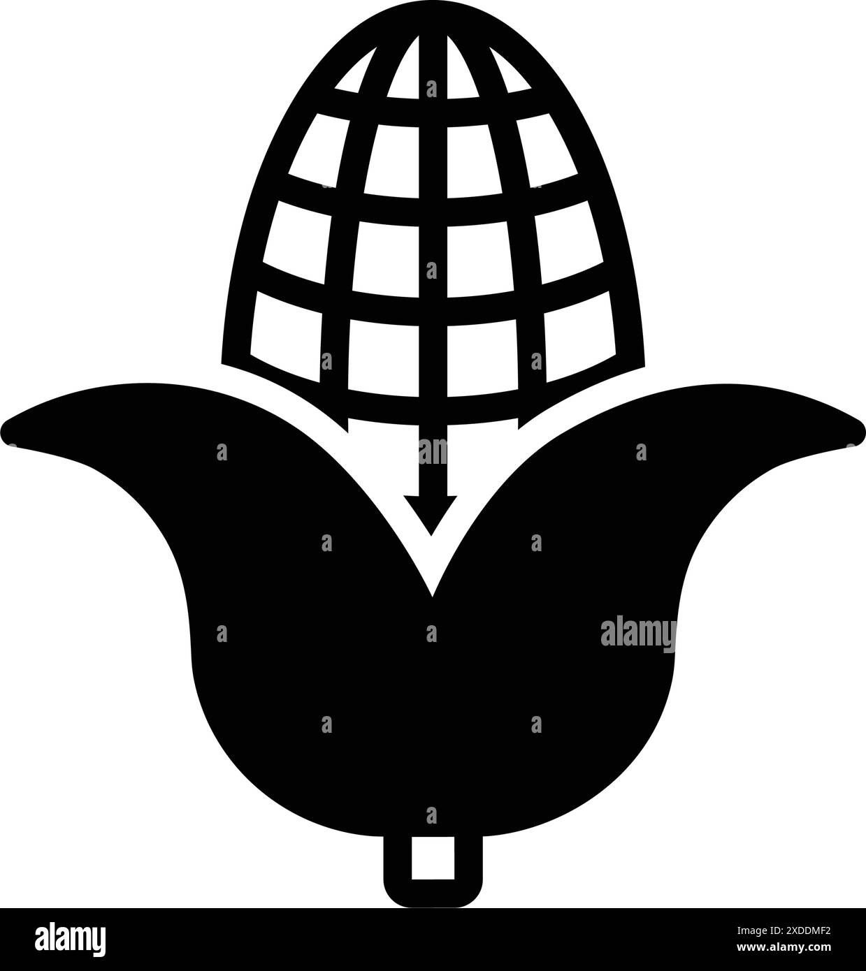 Corn shape Black and White Stock Photos & Images - Alamy