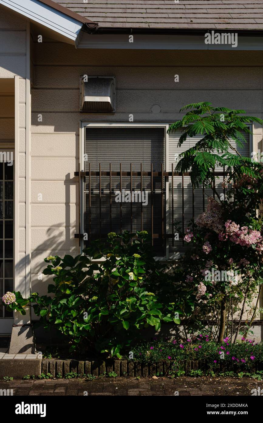Front Yard with Flowering Shrubs and Window Stock Photo - Alamy
