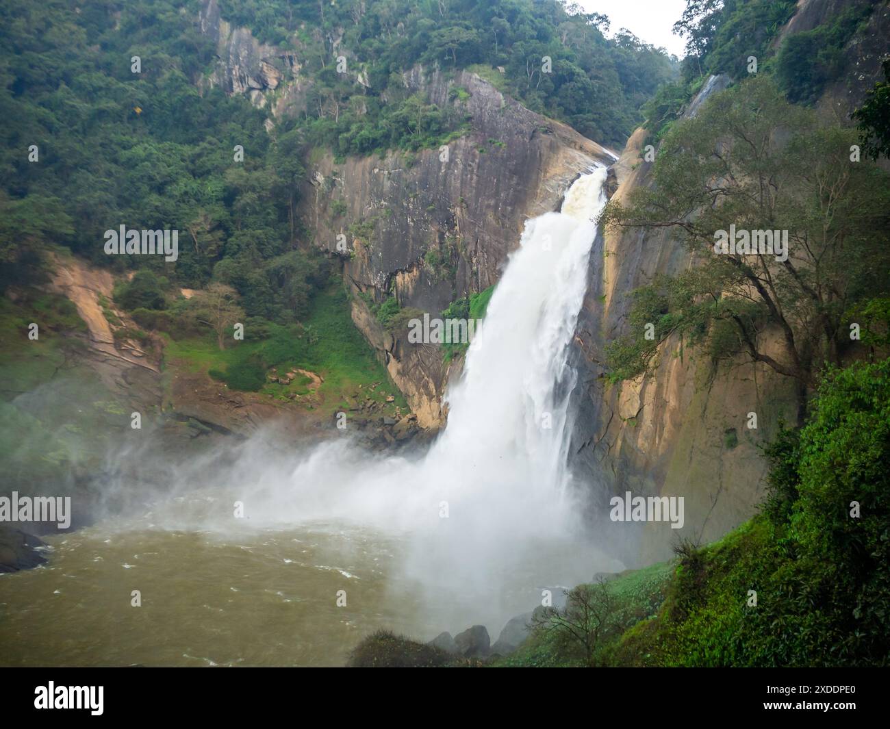 Waterfall in rainforest tropical dunhinda hi-res stock photography and images - Alamy