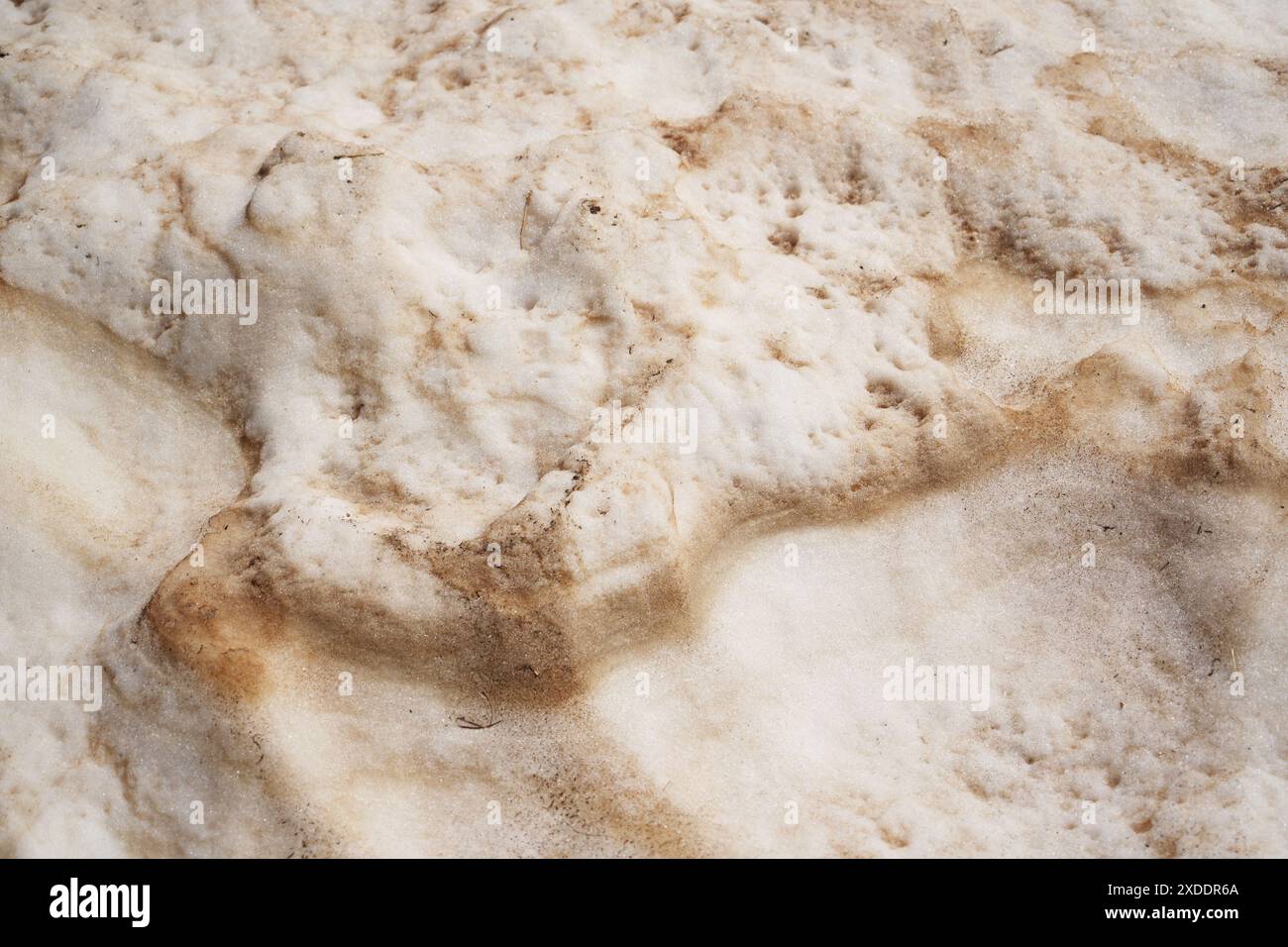 European Alpine snowpack has taken on the typical reddish colour of ...