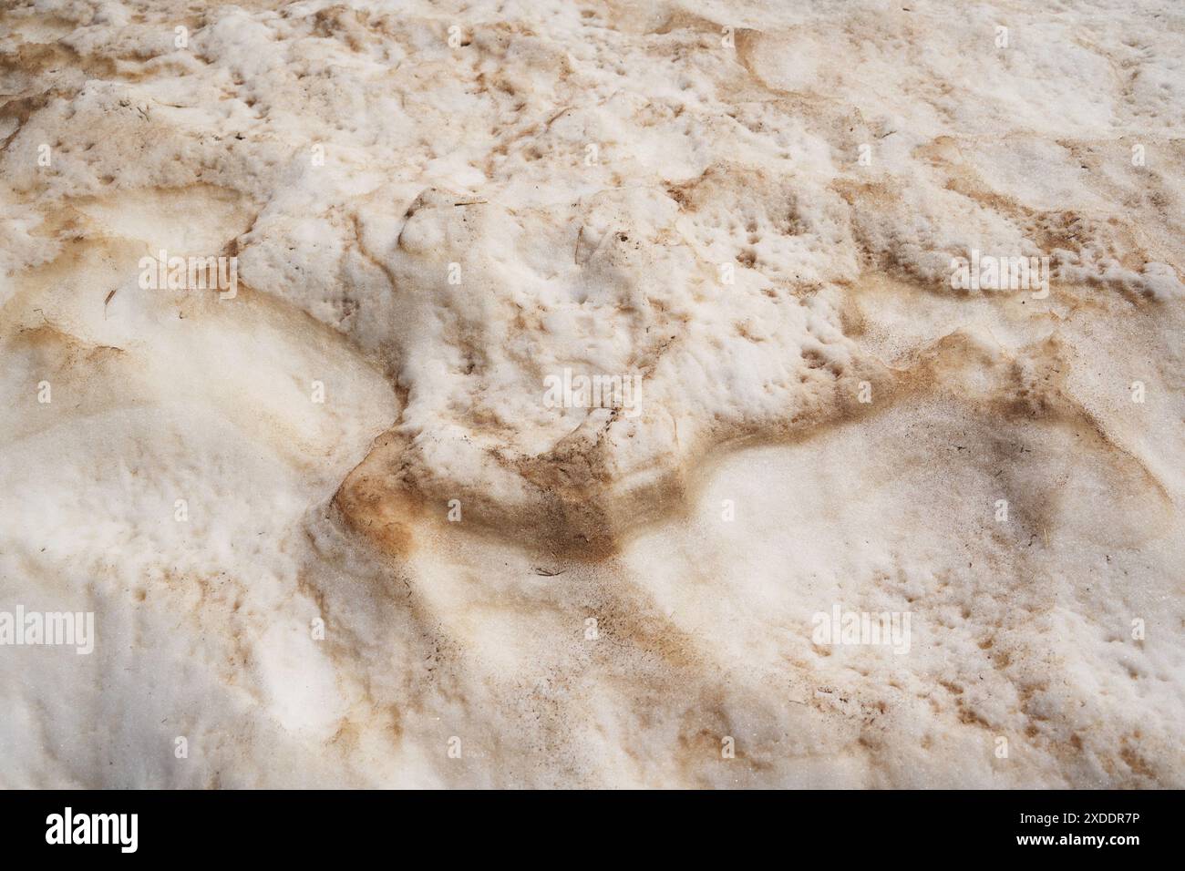 European Alpine snowpack has taken on the typical reddish colour of ...