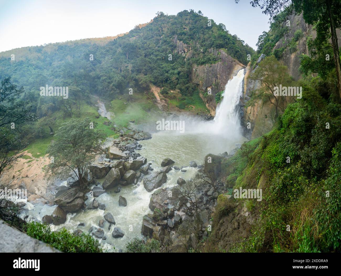 Waterfall in rainforest tropical dunhinda hi-res stock photography and images - Alamy