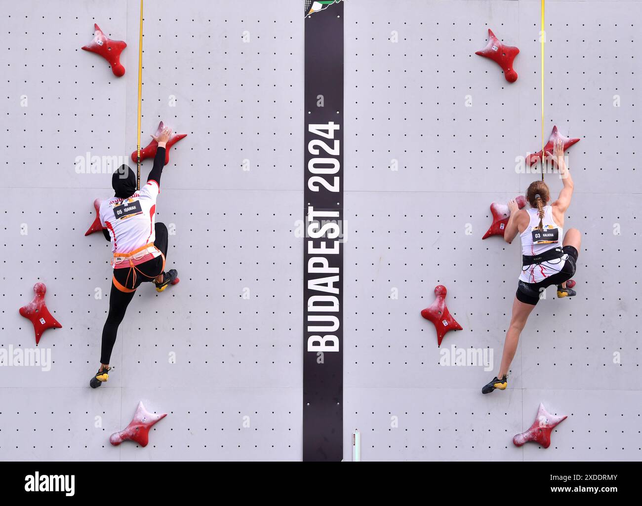 Aleksandra kalucka hi-res stock photography and images - Alamy