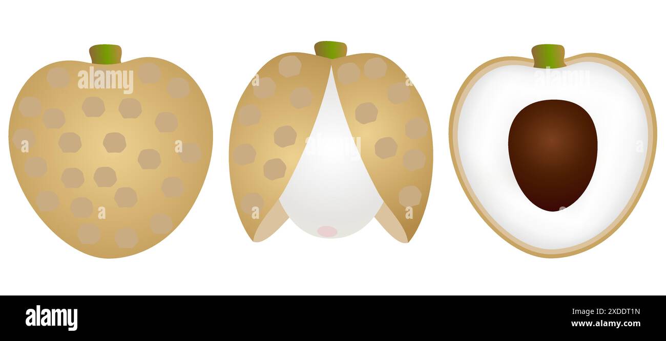 Set fresh longan the skin is cut, whole, cut in half, with bone ...