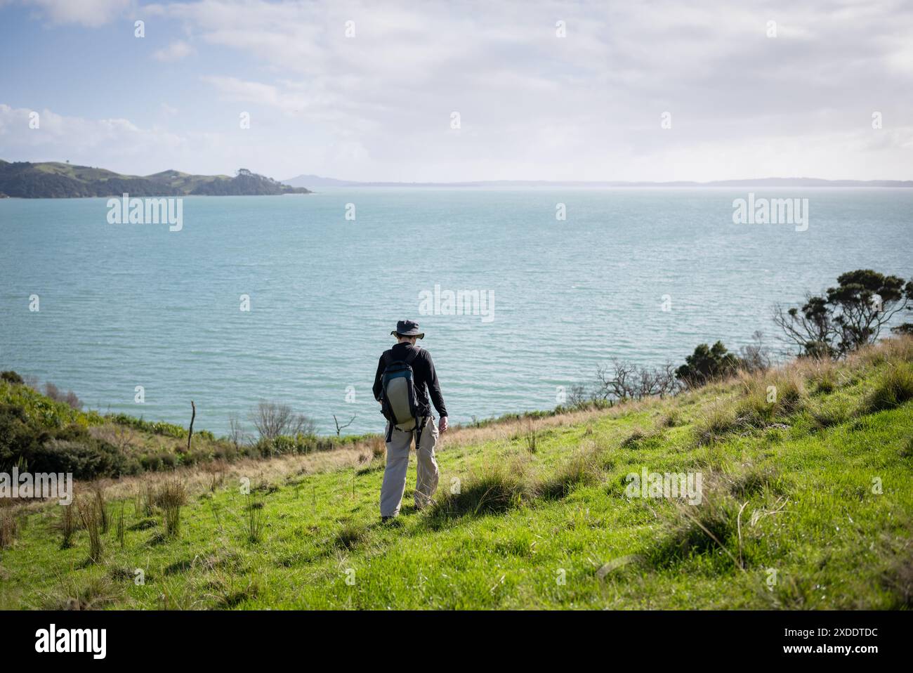 Man walking on the coastal walkway. Duder Regional Park. Auckland Stock ...